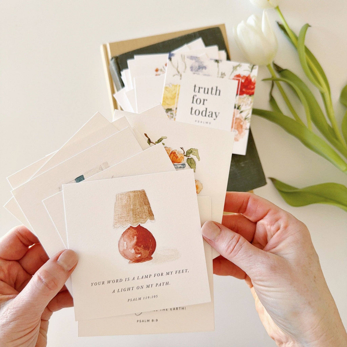 emily lex studio - Truth for today psalms cards – Bloom Shakalaka